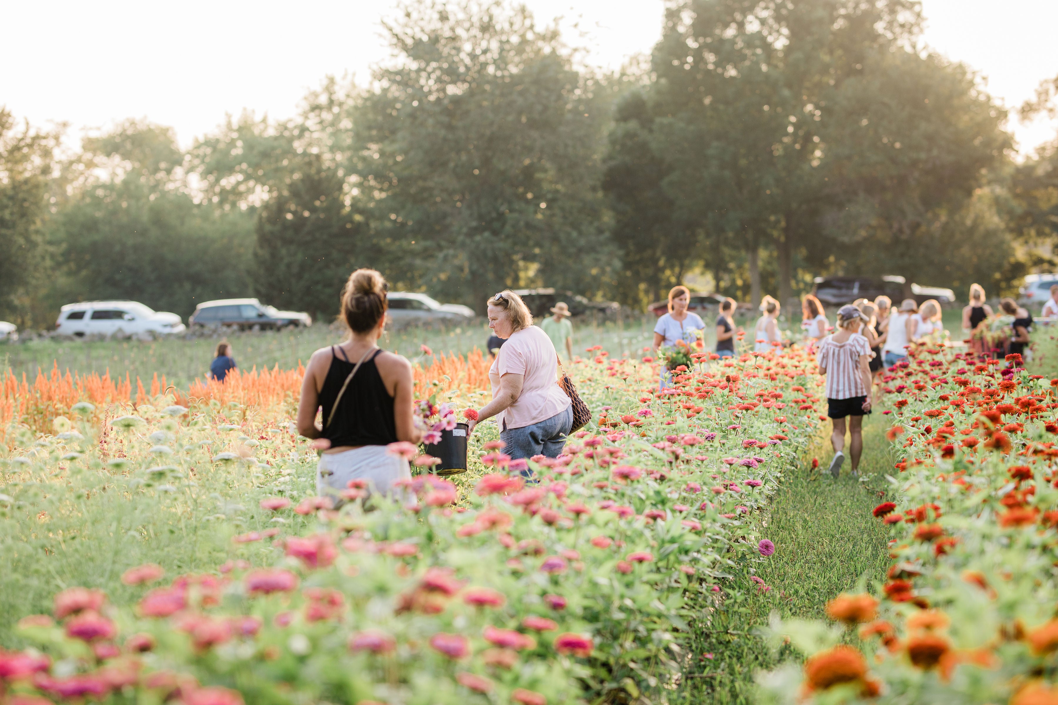 Upcoming Events – Cross Street Flower Farm