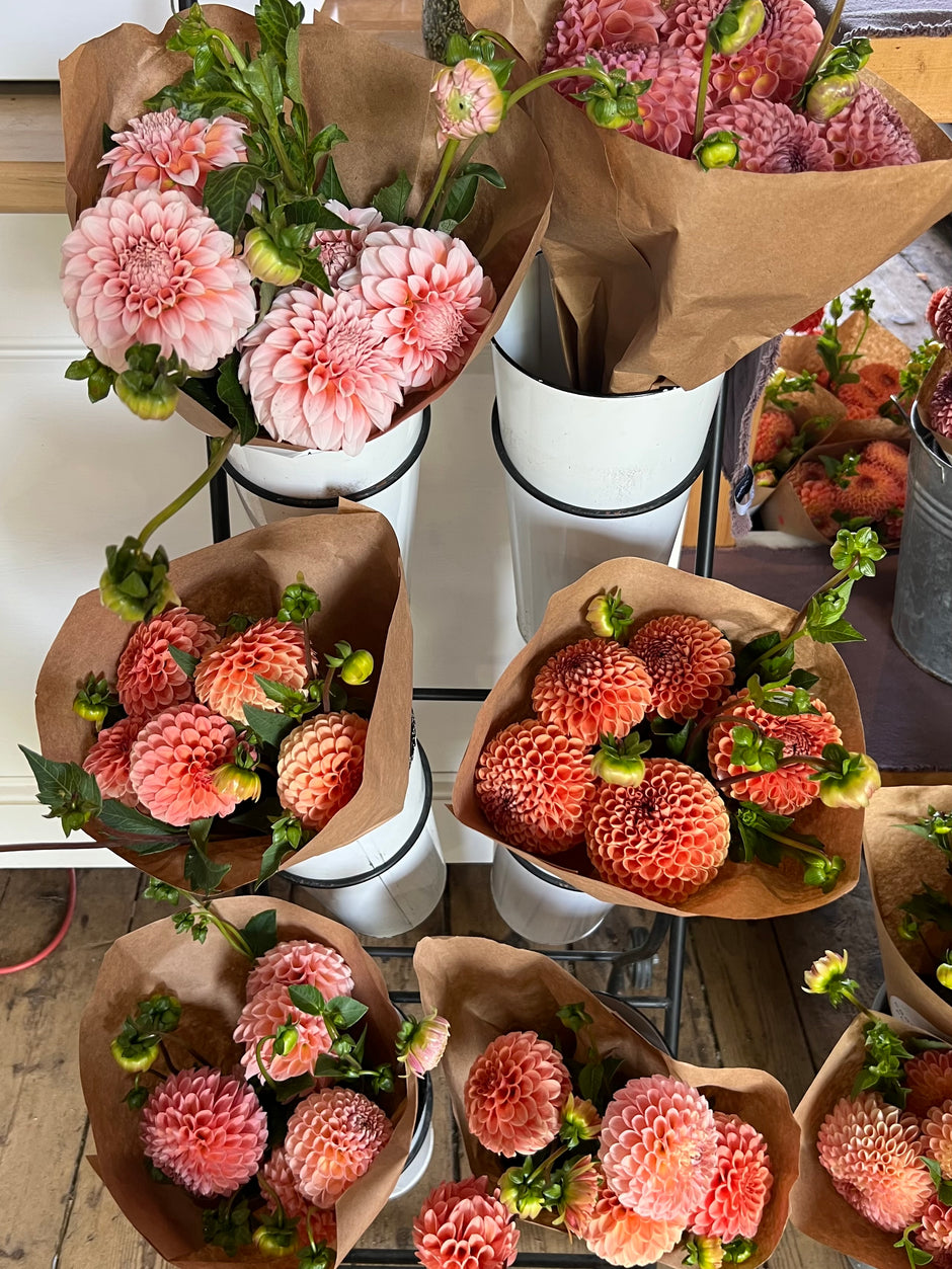 Flower CSA – Cross Street Flower Farm