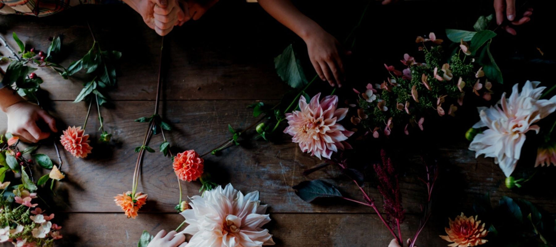 Cross Street Flower Farm | Sustainably Grown Cut Flowers