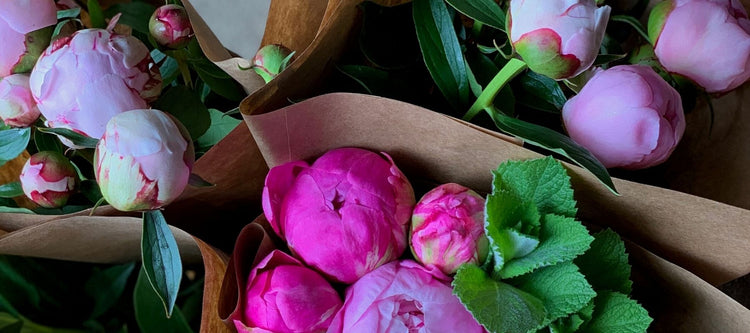 Cross Street Flower Farm | Sustainably Grown Cut Flowers