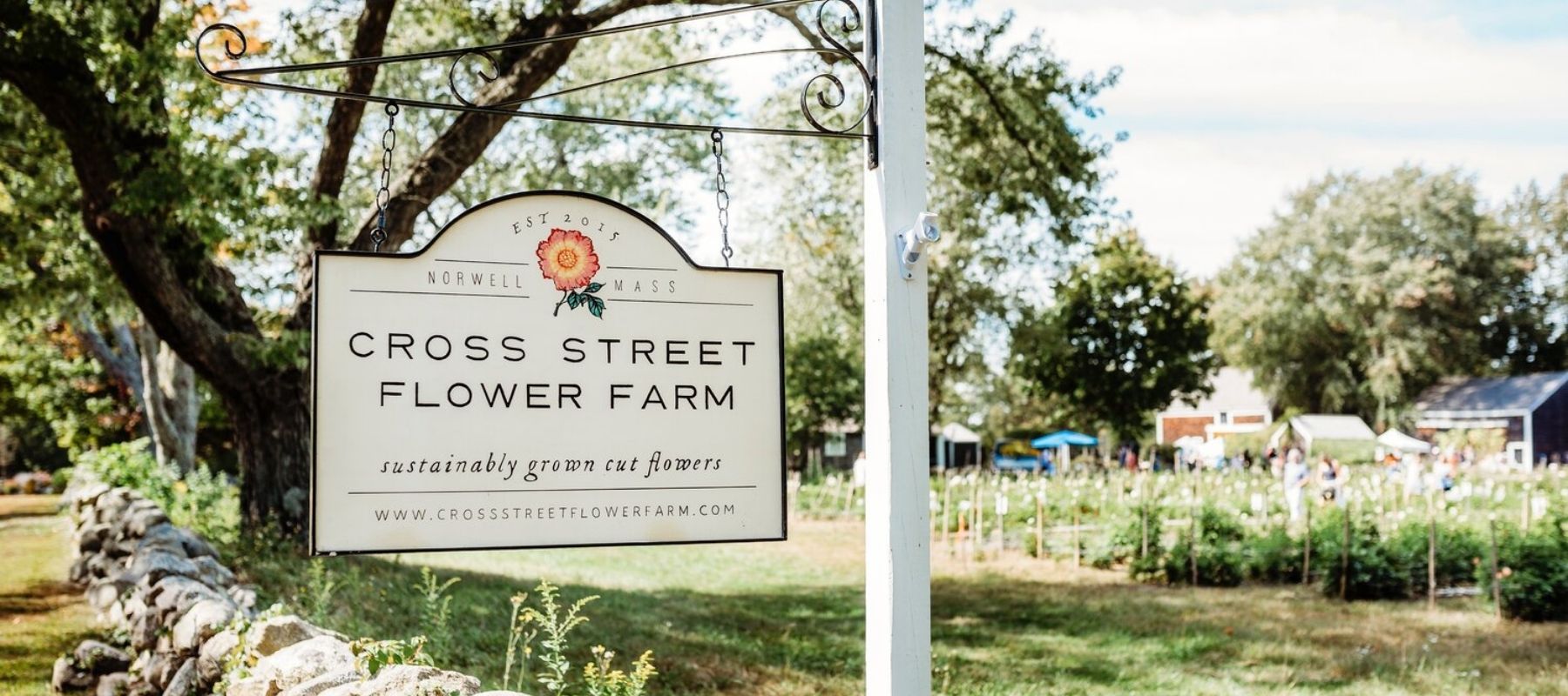About Our Farm | Cross Street Flower Farm